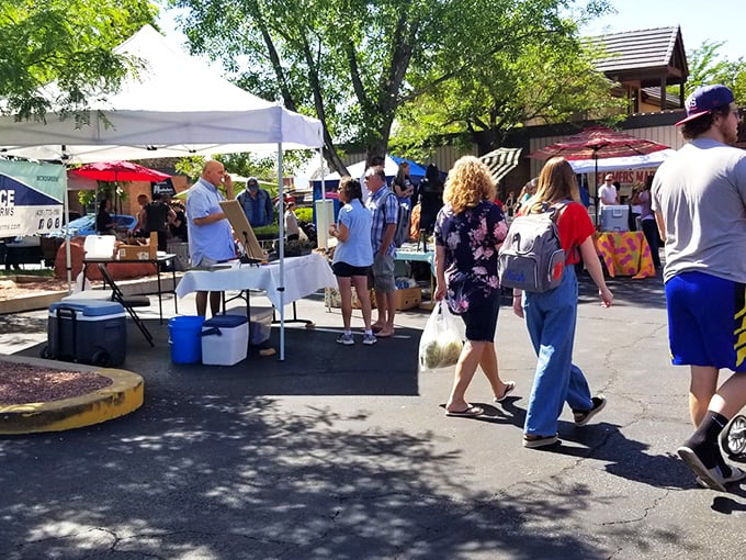 Summer markets under shady trees &ndash; where conversations flow as freely as the local honey samples.