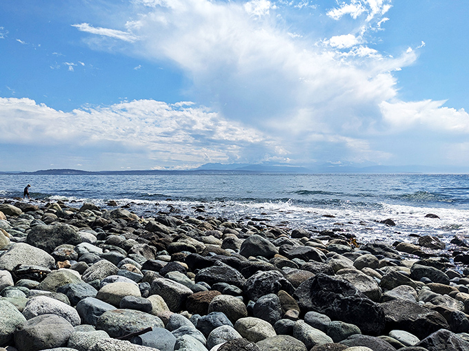 Rocky beaches below dramatic bluffs &ndash; like Mother Nature decided to create the ultimate scenic sandwich at Fort Ebey.