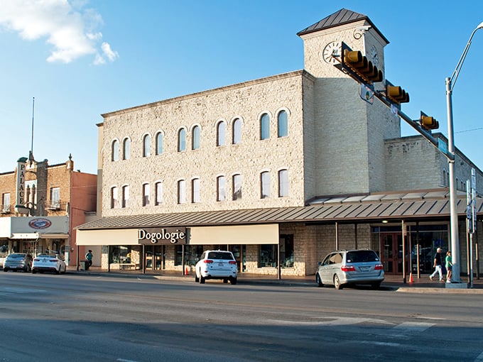 That distinctive limestone building in Fredericksburg houses "Dogologie," proof that even four-legged Texans deserve some Hill Country style.
