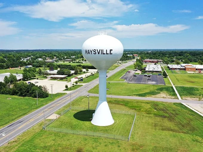 Summer greenery frames Haysville's famous water tower, a landmark in this charming town where fixed-income living doesn't mean fixed limitations.