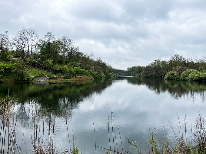 Mirror-like waters reflecting towering trees. Mother Nature showing off her photography skills again.