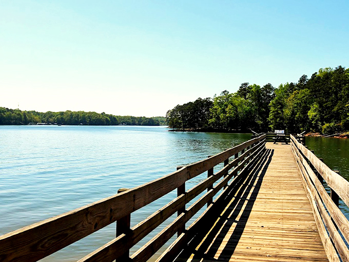 Lake Hartwell's serene waters mirror the sky so perfectly, even the clouds come down for a closer look.