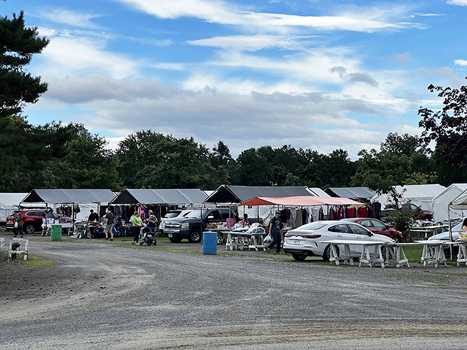 Nature provides the ceiling at Londonderry Flea Market, where every aisle promises the thrill of unexpected discovery.