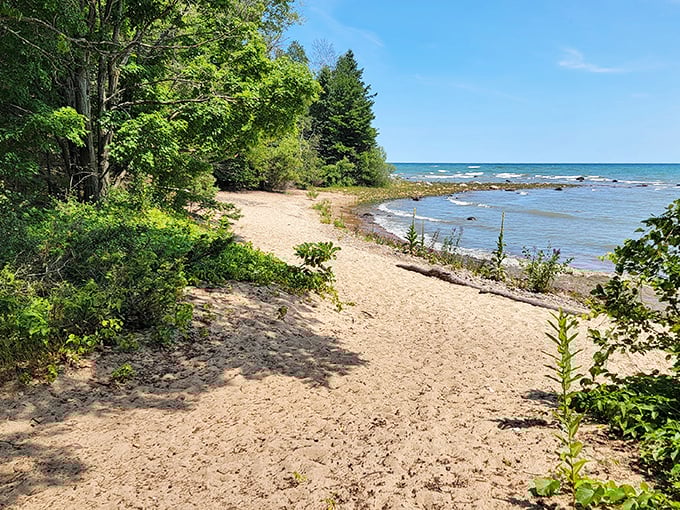 Where forest meets shoreline in perfect harmony. This hidden Lake Huron gem might be Michigan's most peaceful beach escape.