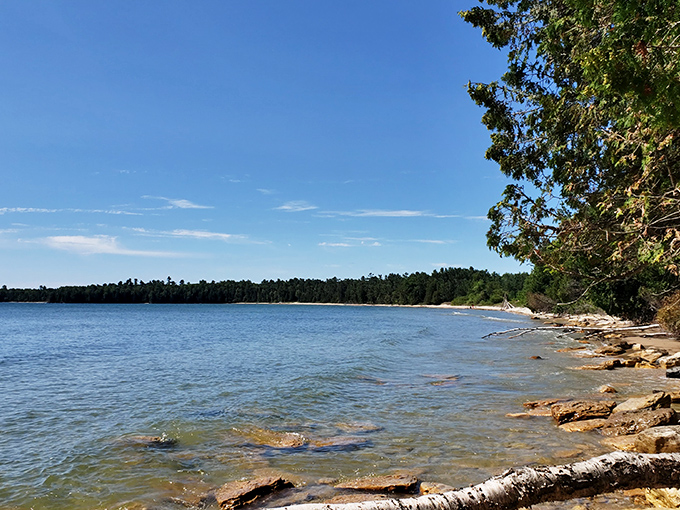 Under starlit skies, Natural Bridge's ancient rock formation glows with the magic of 12,000 years of human history.