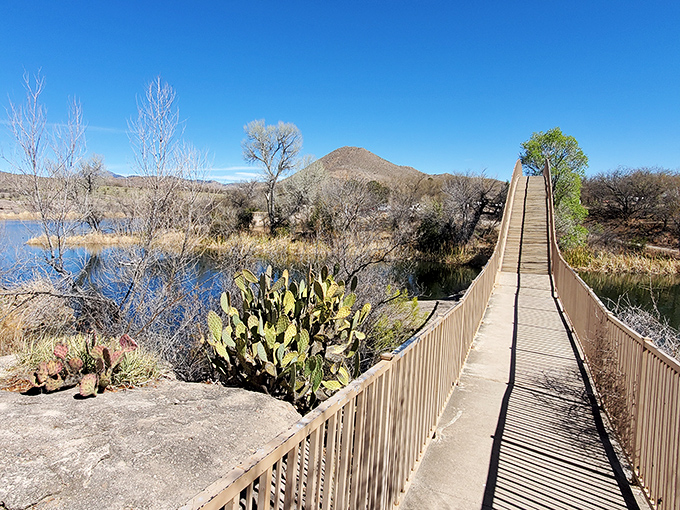 A wooden boardwalk invites exploration through Patagonia's wetlands&mdash;nature's version of a red carpet.