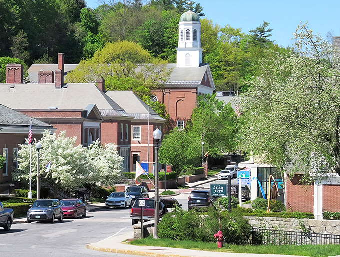 Spring blooms frame Peterborough's church steeple against a perfect blue sky. Small-town serenity at its finest!