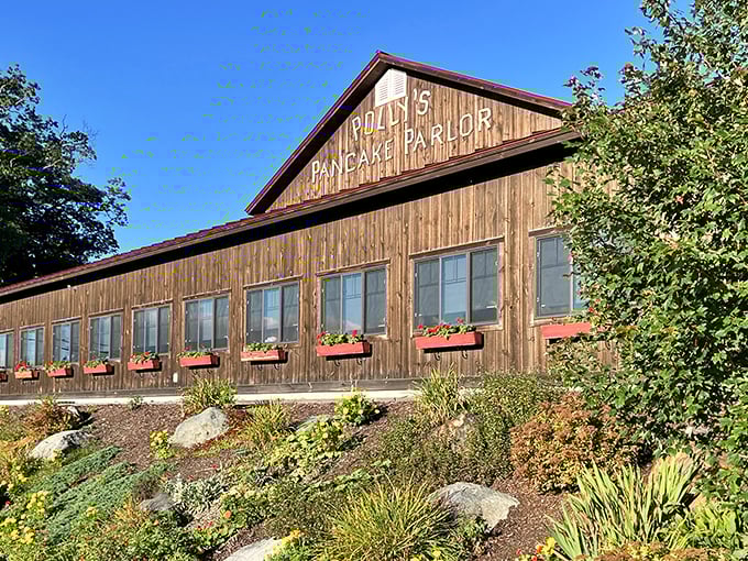 Sun-drenched windows and flower boxes welcome hungry travelers to this woodland breakfast sanctuary.