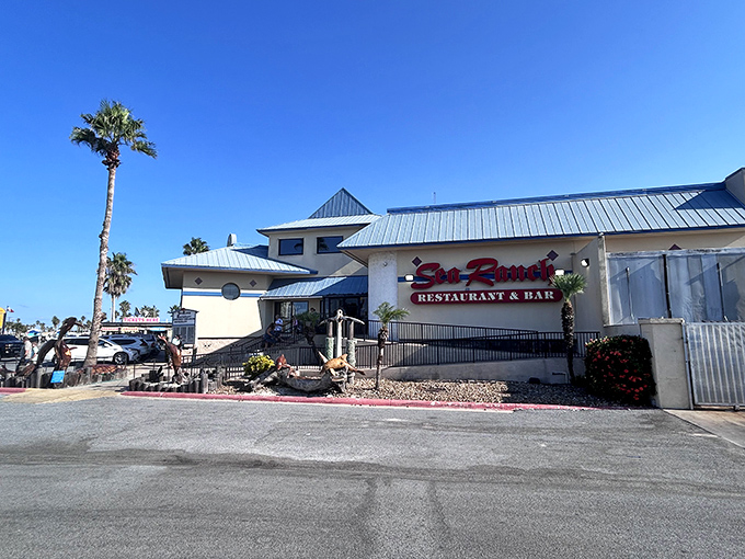 Palm trees and blue skies frame this South Padre institution where seafood arrives fresher than your vacation photos.