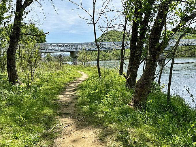 Lush trails at Seven Islands wind through meadows where butterflies throw daily parties and birds RSVP in droves.