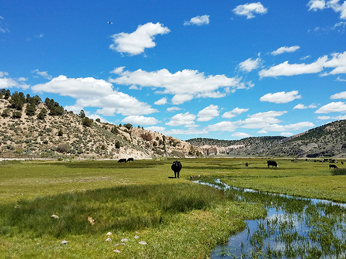 Cattle grazing peacefully beneath endless Nevada skies. This isn't just a pasture&mdash;it's a masterclass in the art of rural serenity.