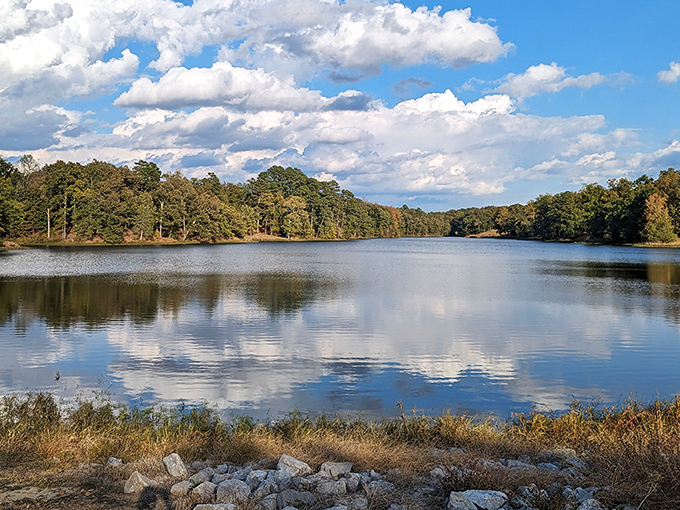 RV heaven at Tombigbee State Park. When your camping spot looks this good, why would anyone need a five-star hotel? 