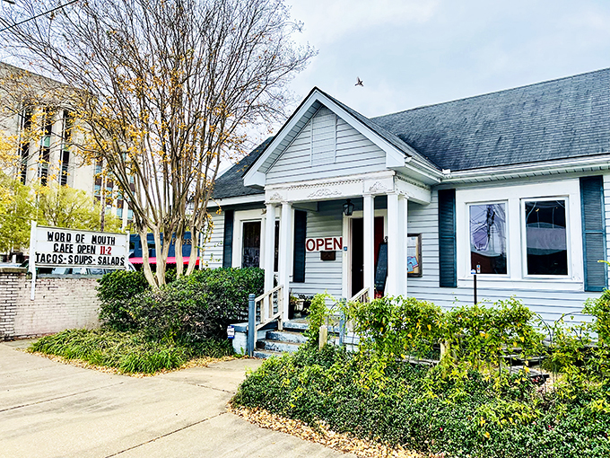 Word of Mouth occupies this charming little house where the sandwiches are anything but little.