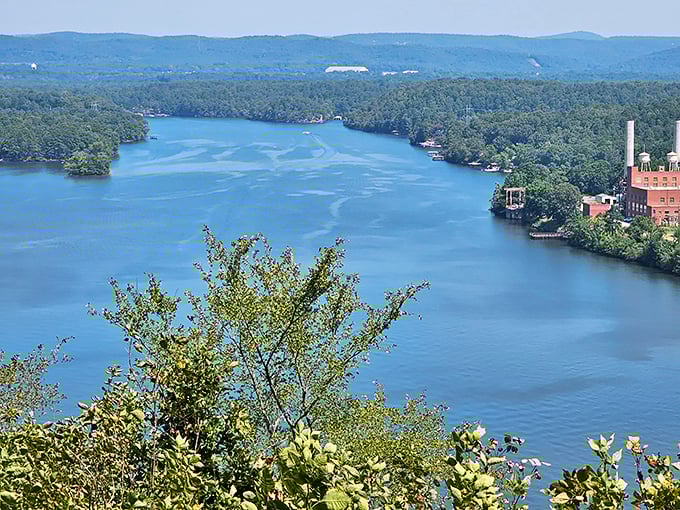 From this vantage point, the lake unfolds like a blue silk ribbon woven through nature's tapestry.