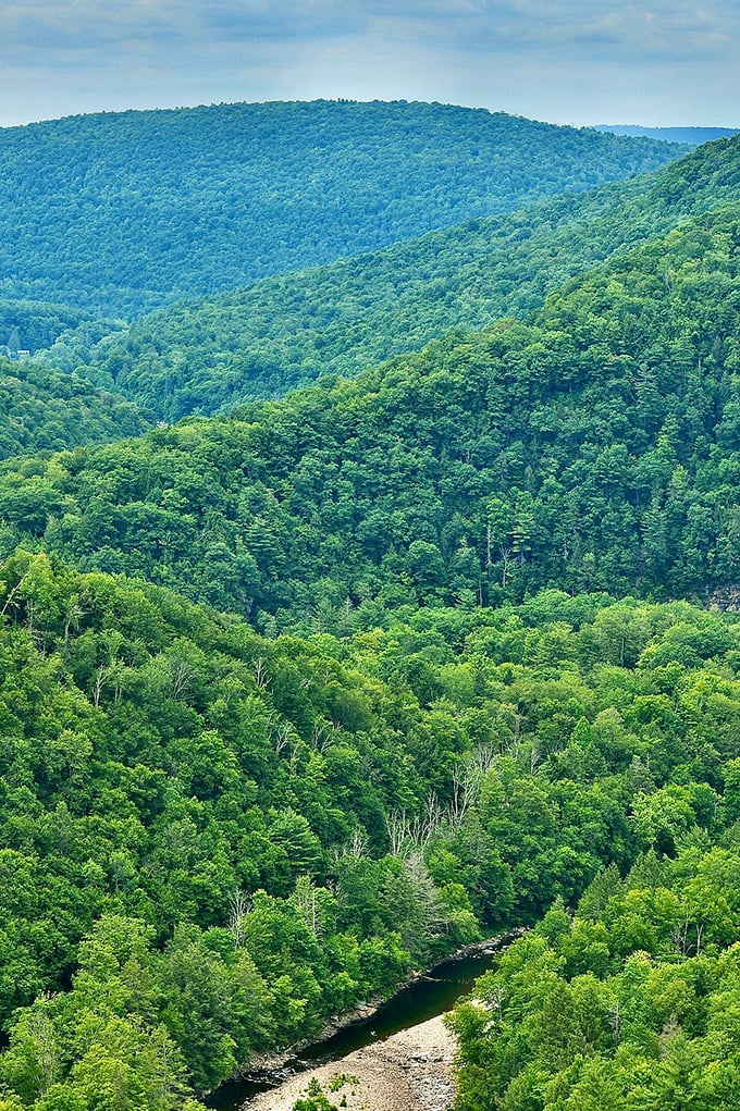 Mother Nature showing off her curves where Loyalsock Creek carves through the valley. This view makes smartphone panoramas feel woefully inadequate. 