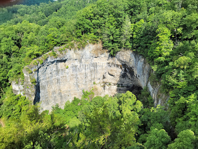From above, the tunnel reveals itself like nature's amphitheater, carved by patient waters and decorated with a crown of trees.