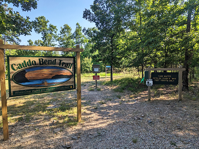 Caddo Bend Trail: where "taking a hike" transforms from relationship ultimatum to bucket-list adventure. Don't forget water&mdash;the sign isn't kidding!