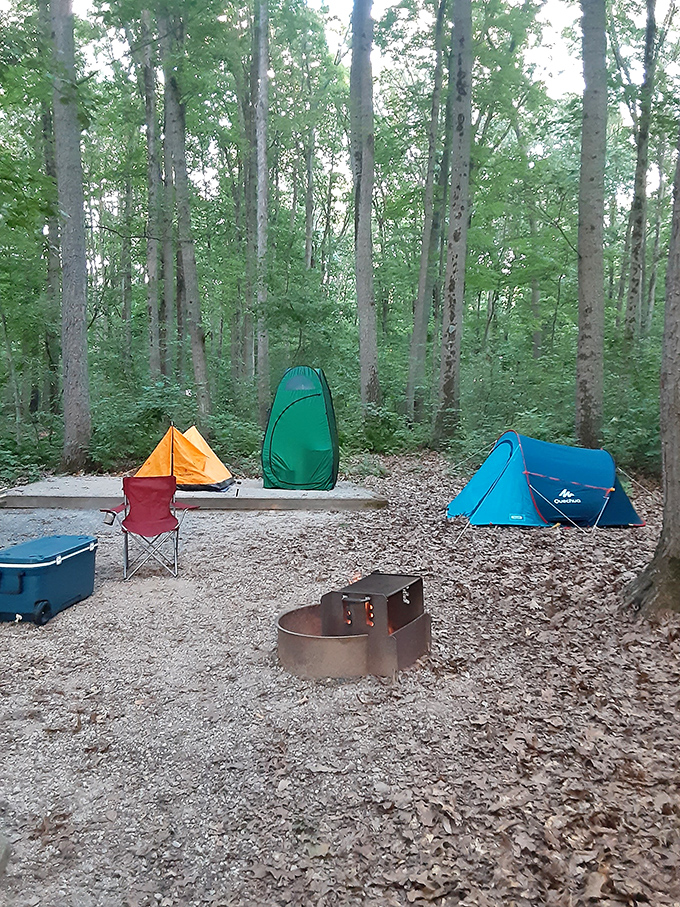 Mother Nature's living room&mdash;complete with a picnic table offering front-row seats to one of Pennsylvania's most serene lake views. 