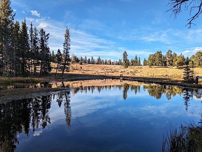 Mirror, mirror on the pond&mdash;this glassy reflection spot doubles nature's beauty, making even the most amateur photographer look like Ansel Adams.