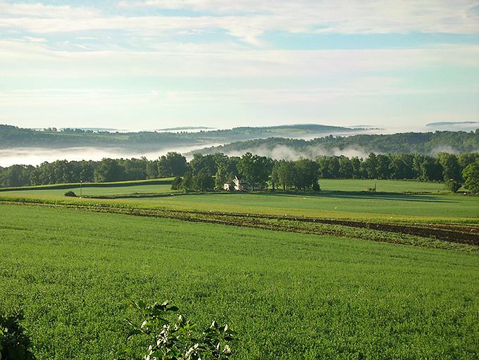 Morning mist blankets the countryside like nature's own Instagram filter, transforming ordinary farmland into a scene worthy of a tourism brochure.