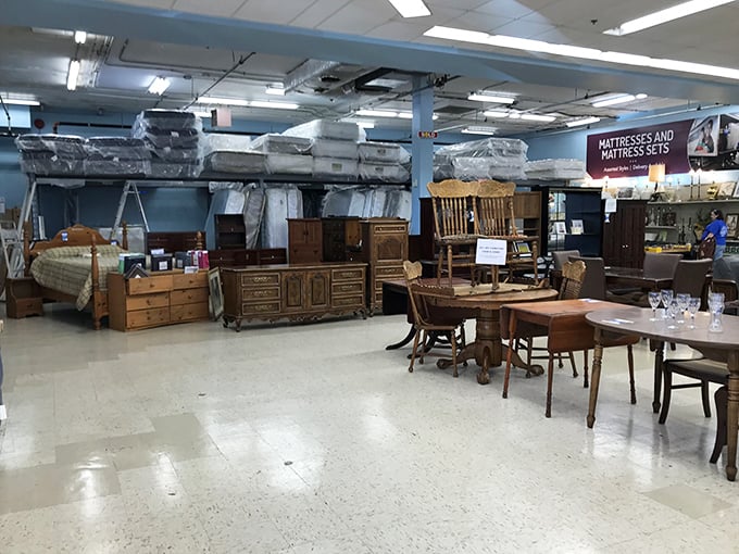 The furniture section rivals showrooms with higher price tags, proving that "pre-loved" doesn't mean compromising on quality or style.