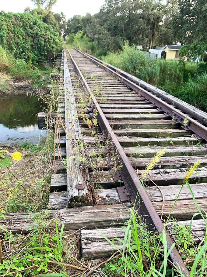Nature slowly reclaims this abandoned railway bridge, creating a hauntingly beautiful reminder of simpler times amid Pinecraft's lush Florida landscape.