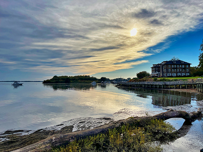 Where the Susquehanna meets the Chesapeake, nature provides the kind of waterfront therapy session that doesn't require insurance pre-approval or a copay.