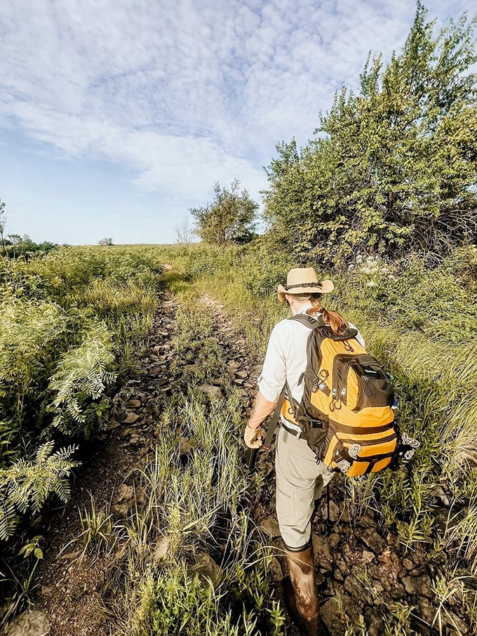 Following ancient pathways through tallgrass that once covered one-third of Missouri. Every step is literally a walk through history.