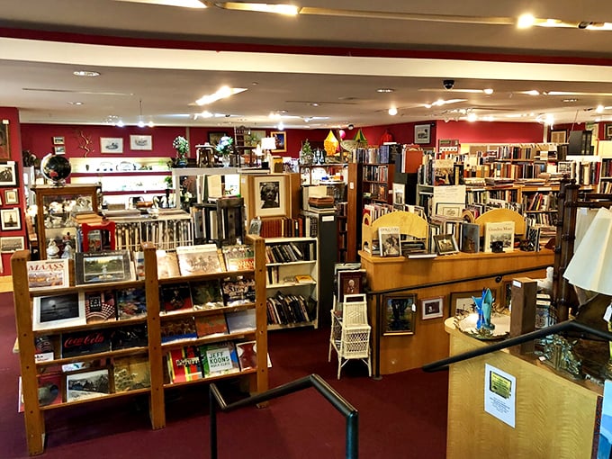 Bookcases and display cabinets create a labyrinth of discovery. Each aisle promises its own adventure through decades of American design.