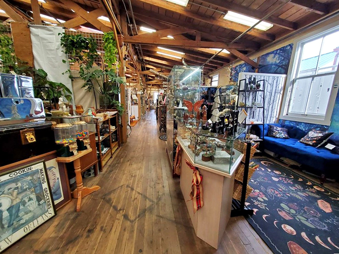 Wooden pathways stretch like the yellow brick road through a kingdom of collectibles, where every turn reveals another vendor's carefully curated universe.