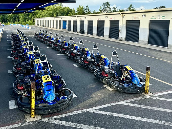 The lineup of sleek karts stands ready, each one silently promising the kind of adrenaline rush you haven't felt since riding your first roller coaster.