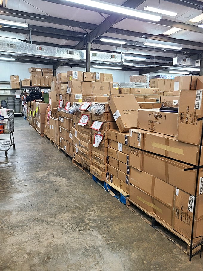 Mountains of inventory await the intrepid explorer. This isn't shopping; it's an archaeological dig for modern treasures.