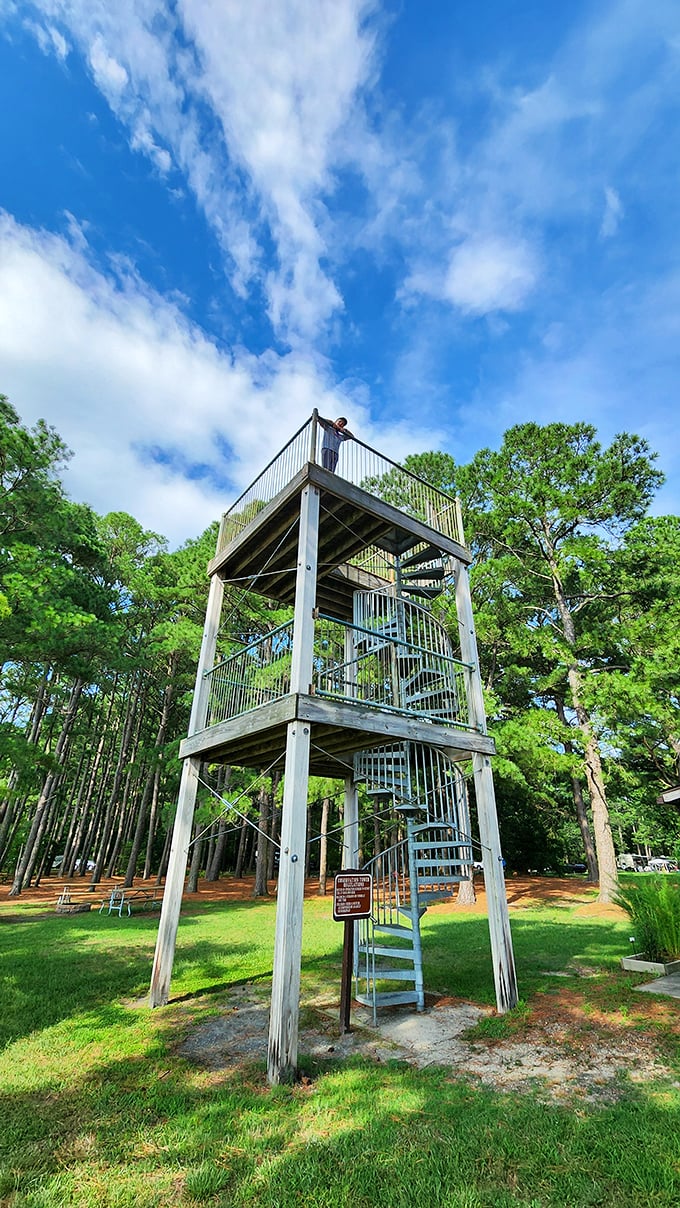 This observation tower isn't just for the views—it's for contemplating life's big questions, like "Why don't I do this more often?"