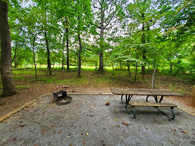 A seemingly innocent picnic spot where hikers rest before venturing deeper into the park's more mysterious corners.