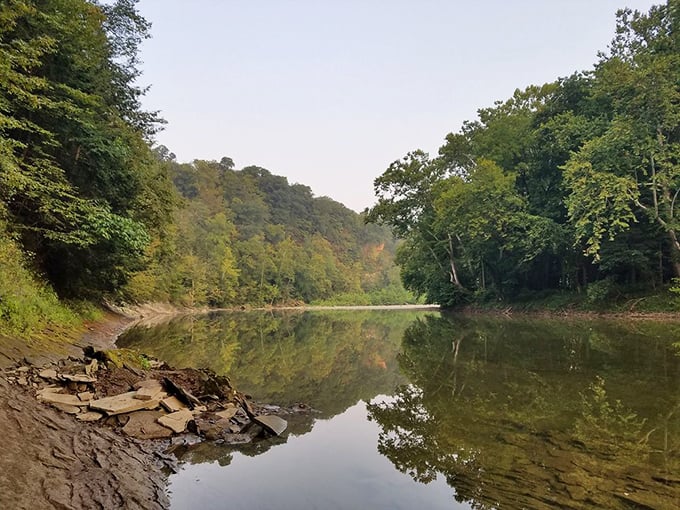 Sugar Creek flows with quiet confidence through the valley. The water's gentle reflections double the forest views&mdash;nature's own two-for-one special.