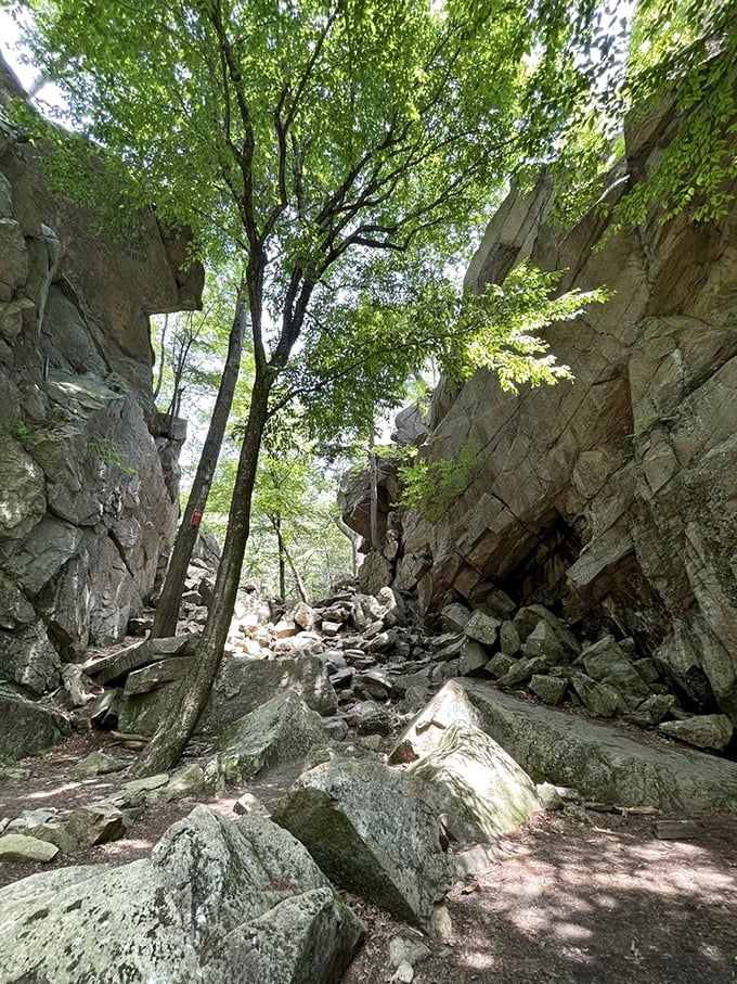 Gaze up at towering rock walls and lush green canopies as you navigate through this majestic, boulder-filled passage carved by nature.