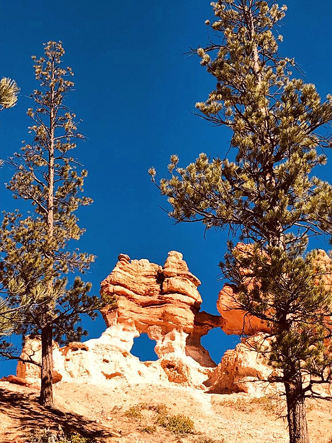Mother Nature's grand canyon highway&mdash;where rust-colored cliffs stand guard over a stream that's been patiently carving this masterpiece for millennia.