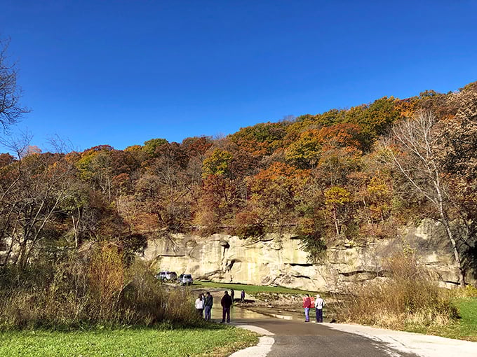 Fall's fashion show at Ledges: where sandstone cliffs dress in autumn colors and visitors gather to applaud nature's seasonal runway collection.