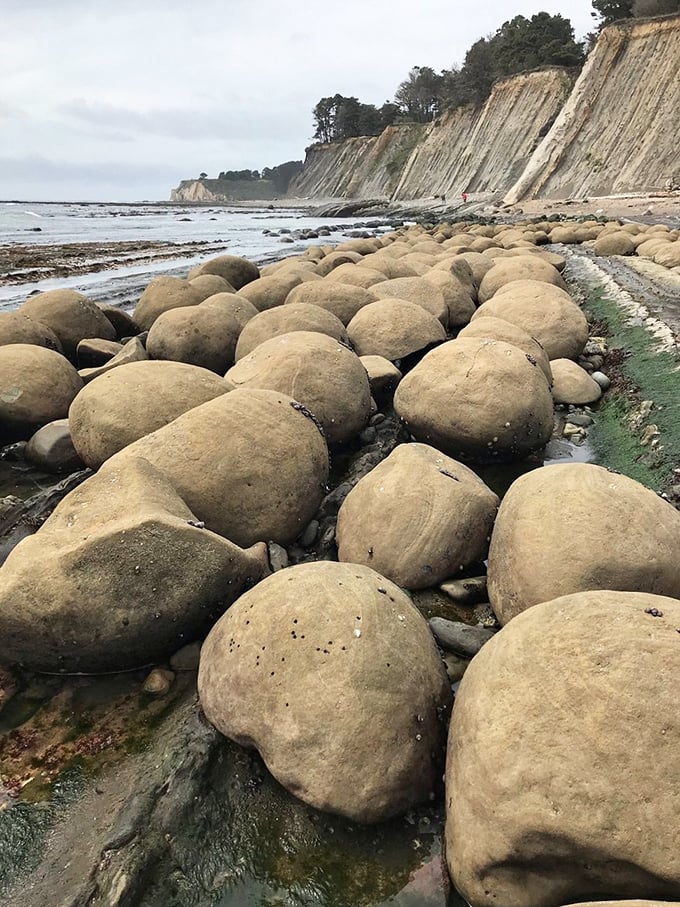Not your average beach pebbles! These geological celebrities&mdash;nicknamed "bowling balls"&mdash;have been patiently waiting millions of years for their Instagram moment.