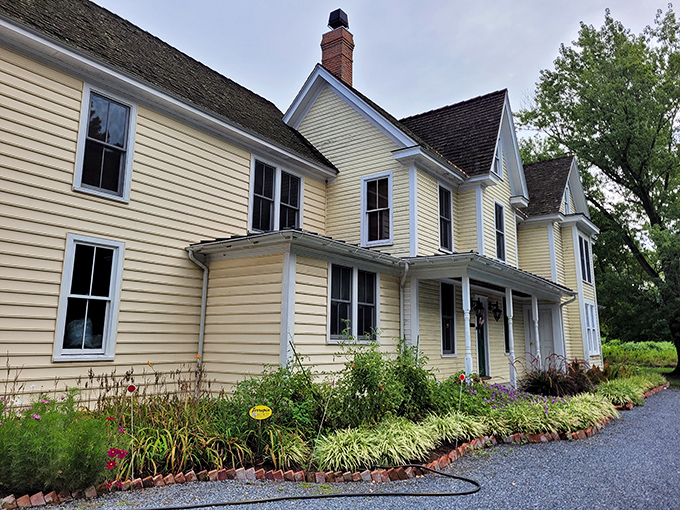 The landscaping isn't just pretty—it's a masterclass in "welcome home" vibes. Those ornamental grasses practically wave hello as you approach.