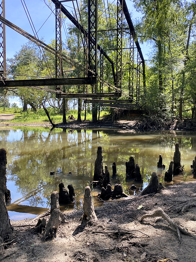 Cypress knees poke through the water's surface like nature's periscopes. The perfect setting for both serene reflection and spontaneous goosebumps.