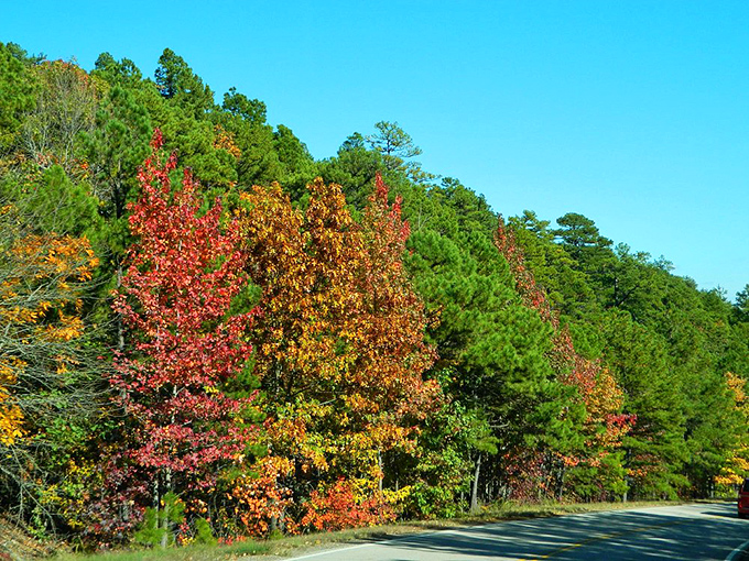 Fall's palette transforms these Oklahoma hills into a painter's dream. Even Monet would trade his water lilies for this autumn spectacle.