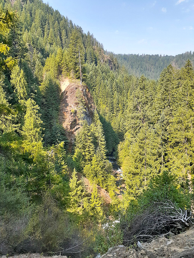 These towering sentinels have been standing guard for centuries, making your Monday morning commute problems seem adorably insignificant.