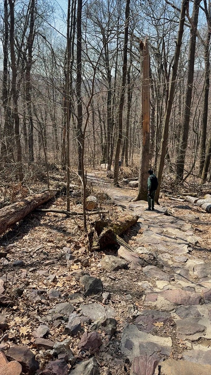 Follow the path less traveled. This stone-lined trail through early spring woods promises adventure without demanding Olympic training.