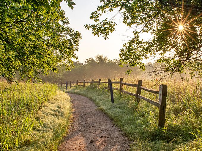 Morning mist and golden light create nature's perfect filter. This fence-lined path seems to lead straight into a landscape painter's dream.