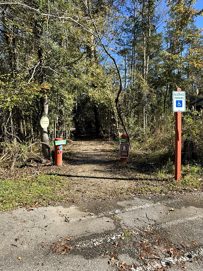 Nature's red carpet invites you in with no velvet rope&mdash;just the promise of adventure and possibly a few curious squirrels as paparazzi.