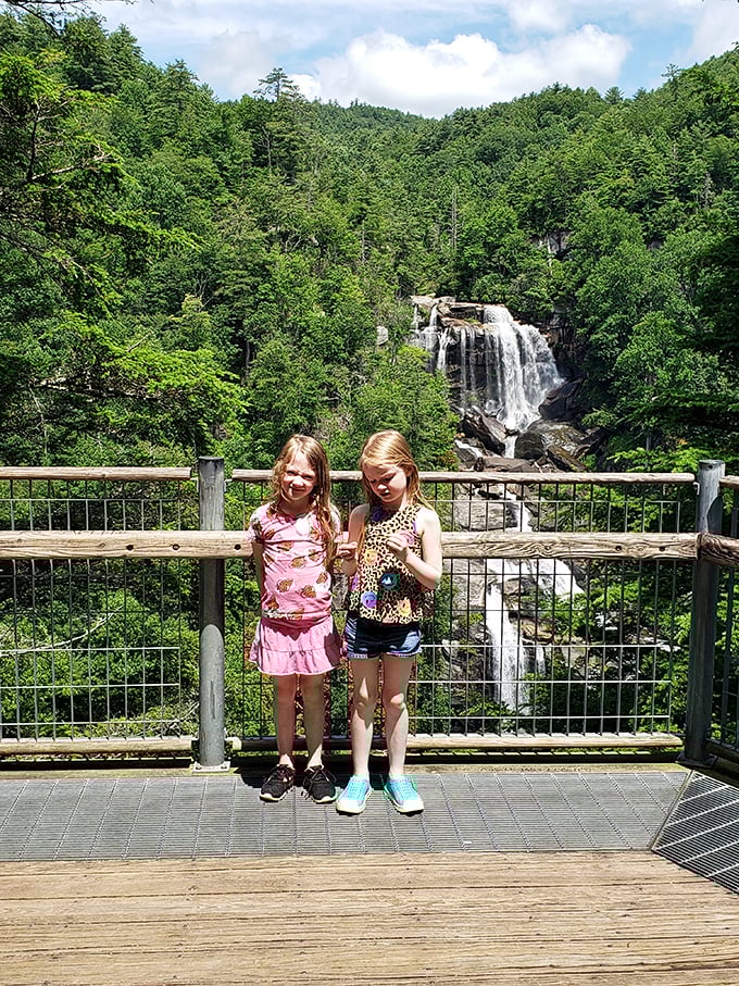 The viewing platform offers a front-row seat to nature's greatest show. No ticket required, just comfortable shoes and a camera.