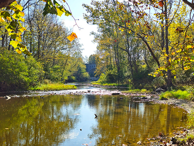 White Lick Creek reflects the bridge in perfect symmetry, nature's mirror showing both the structure's beauty and its brooding presence from a respectful distance.