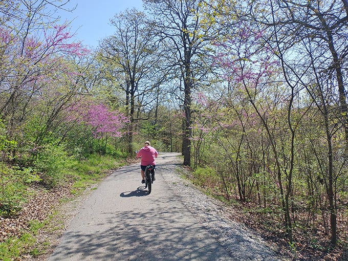 Spring brings a riot of redbud blossoms, painting the trail's edges in magnificent pink. This cyclist has the right idea&mdash;some views deserve to be savored at a leisurely pace.