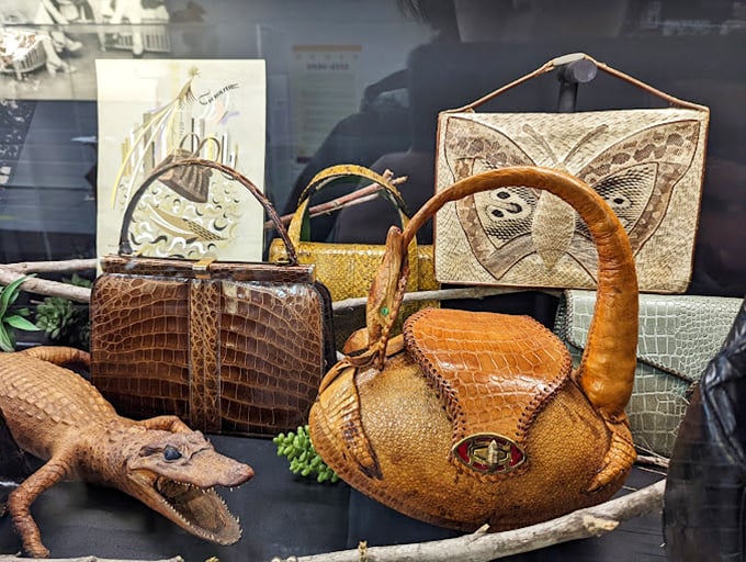 That alligator purse isn't just fashion&mdash;it's a conversation piece with teeth. Literally.